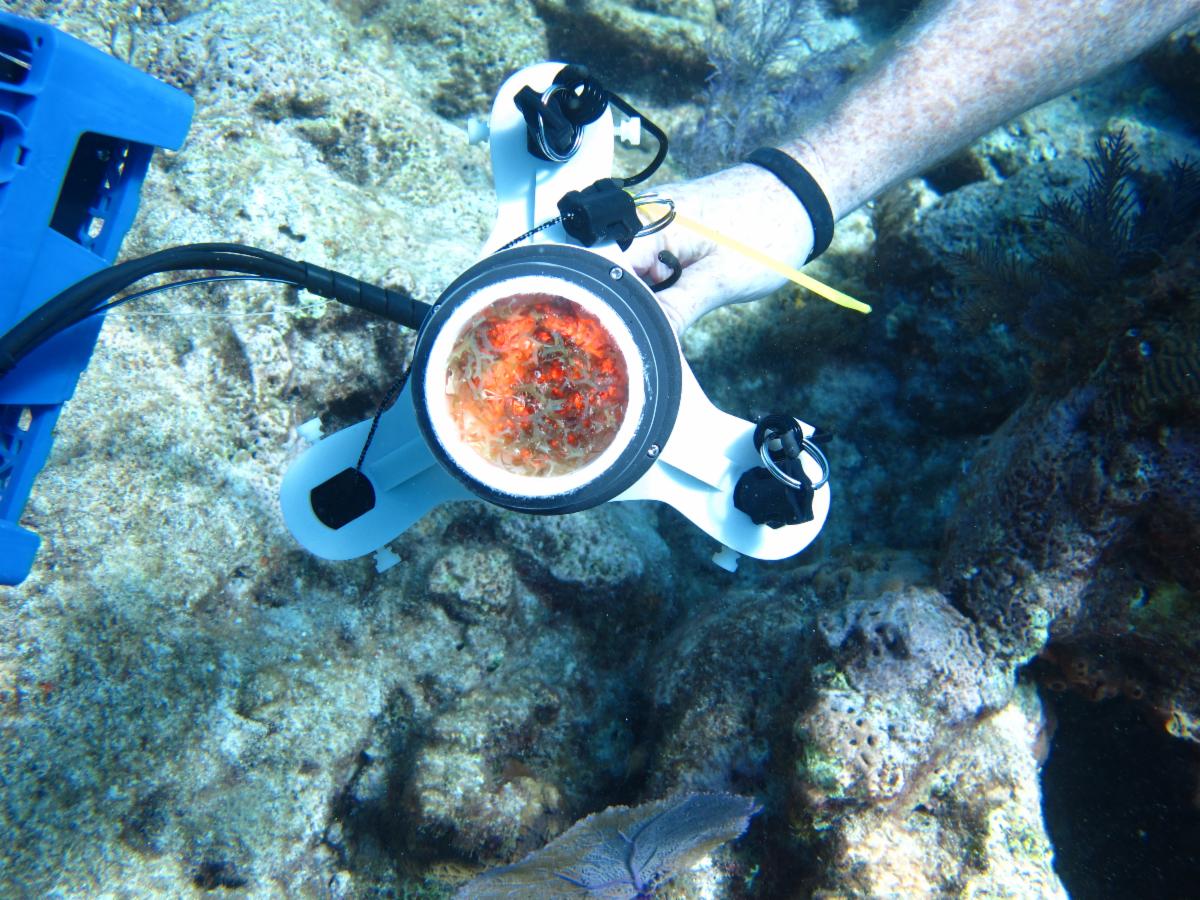 CISME Underwater Metabolism System is Making Waves