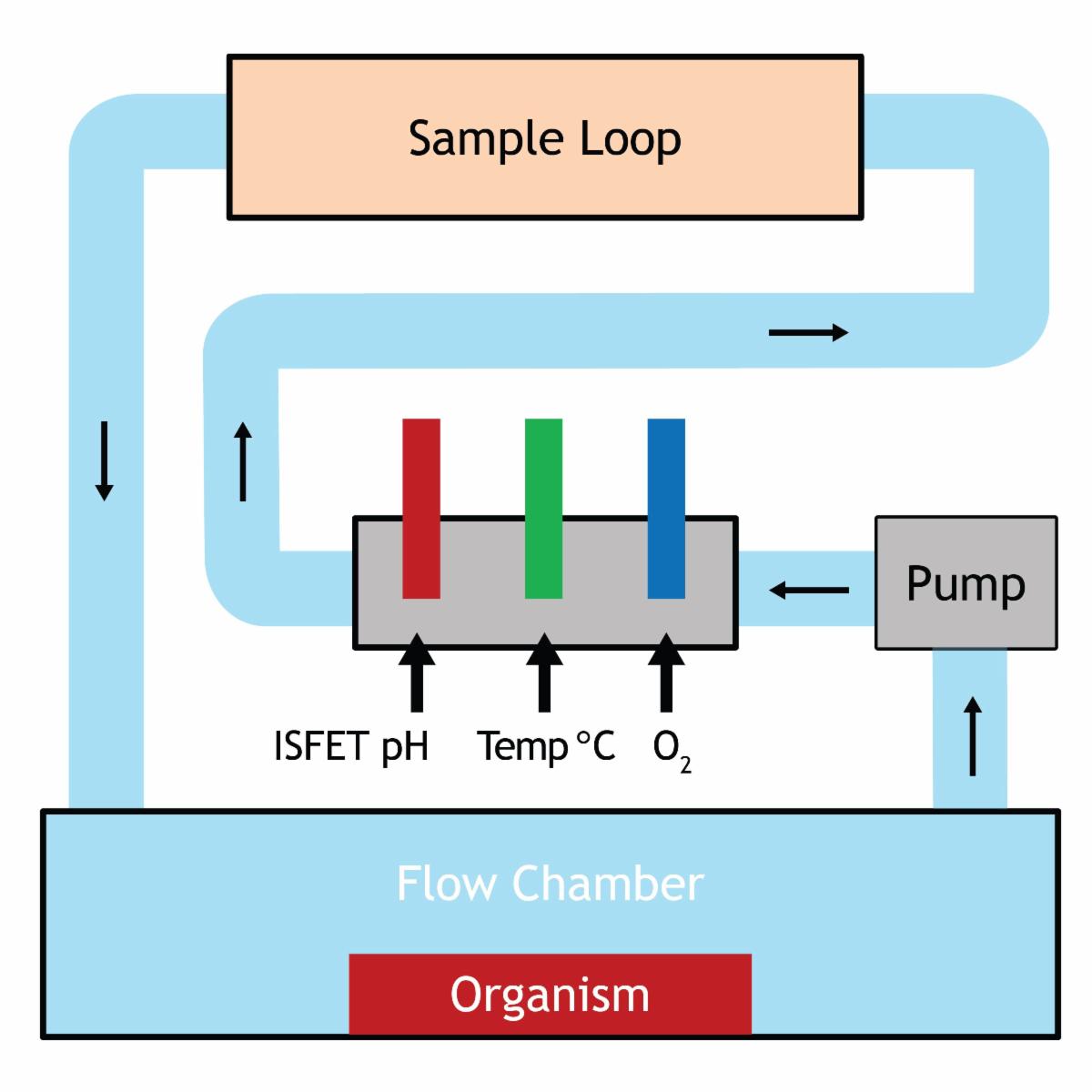 CISME Underwater Metabolism System is Making Waves