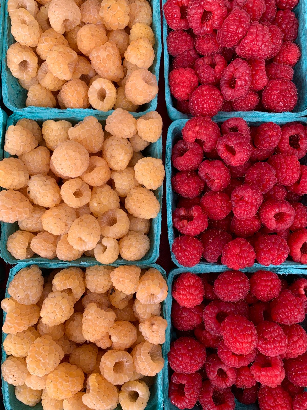 Raspberries, Enchiladas, Pinot & Cookbook Author