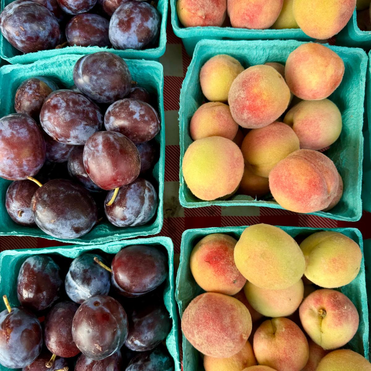 Music, Alpaca, + Fresh Produce!