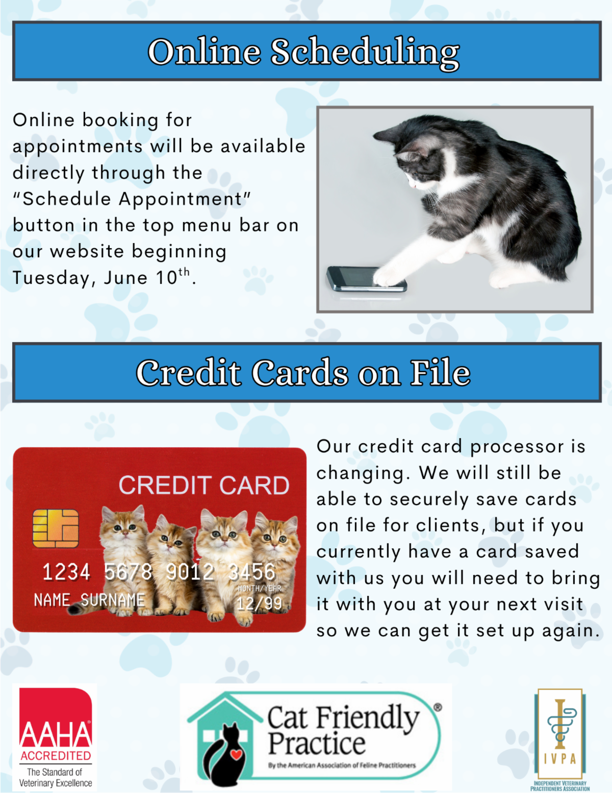 The Whisker - Just Cats Clinic News