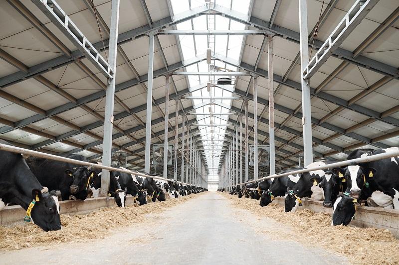 Valuing Livestock Facilities: Dairy Farms Seminar