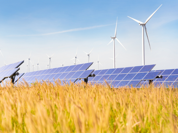 New Energy Economy Considerations