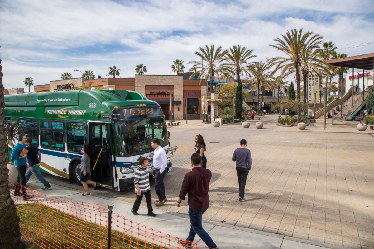 December 2022 InfoBits