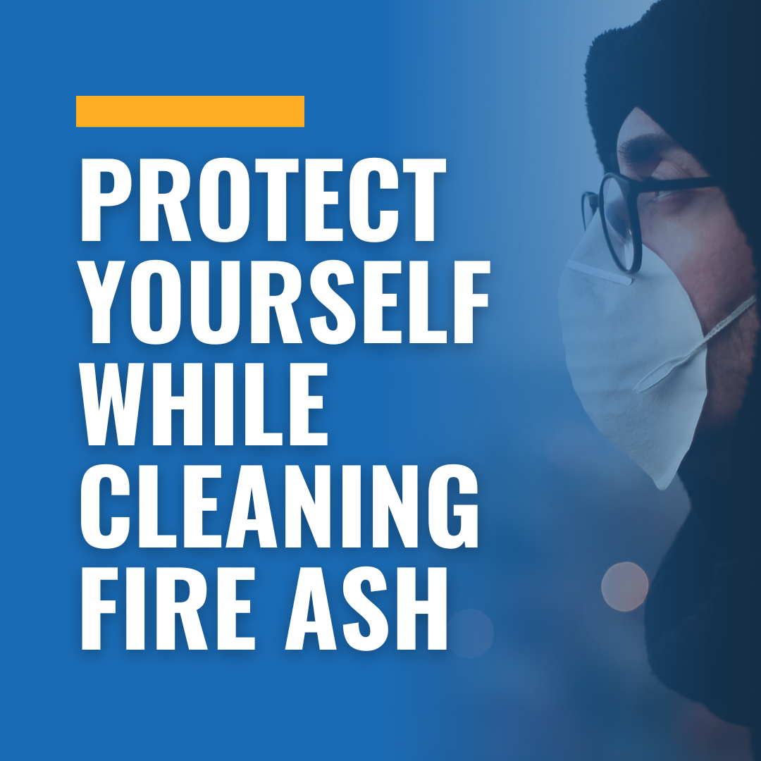 Torrance eNEWSLETTER | Thursday, February 6 - Wednesday, February 12, 2025