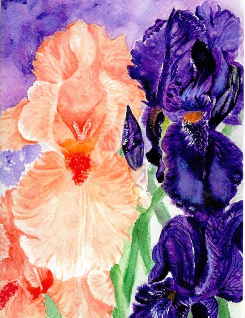 Dover Public Library August Newsletter