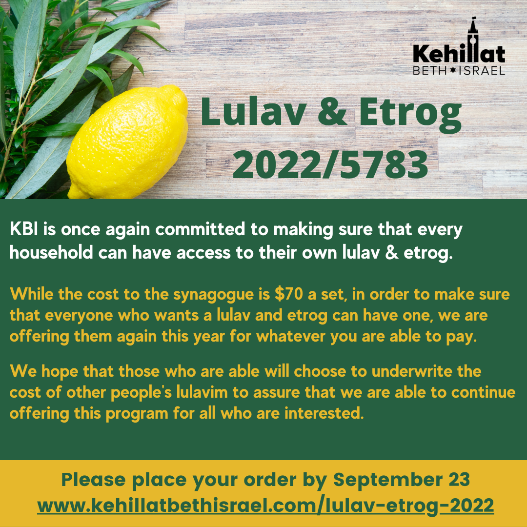 Shabbat Shalom Newsletter for September 24-30, Parashat Nitzavim