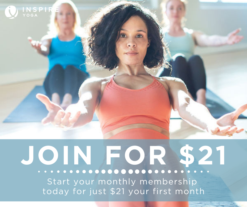Our Biggest Deal Of The Year Is Ending This Month Yogi