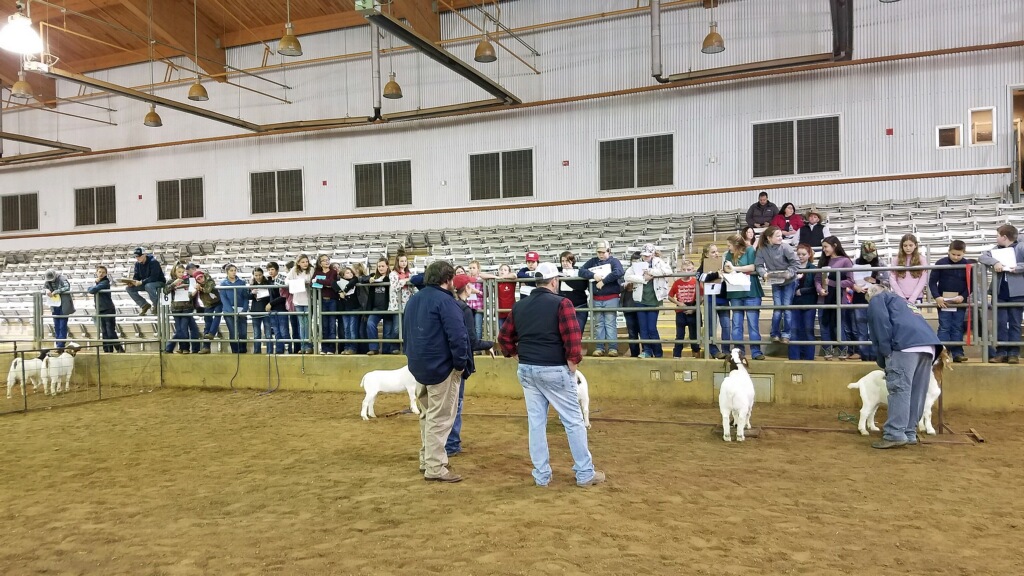 University of Arkansas Animal Science E-newsletter, January 2020