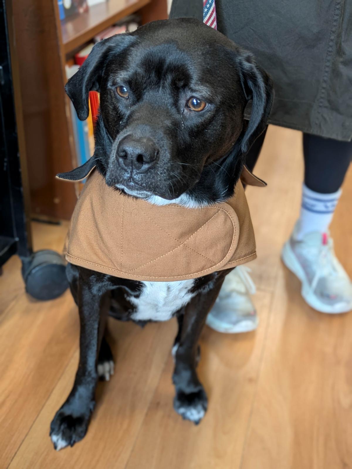 Wellesley Books Newsletter