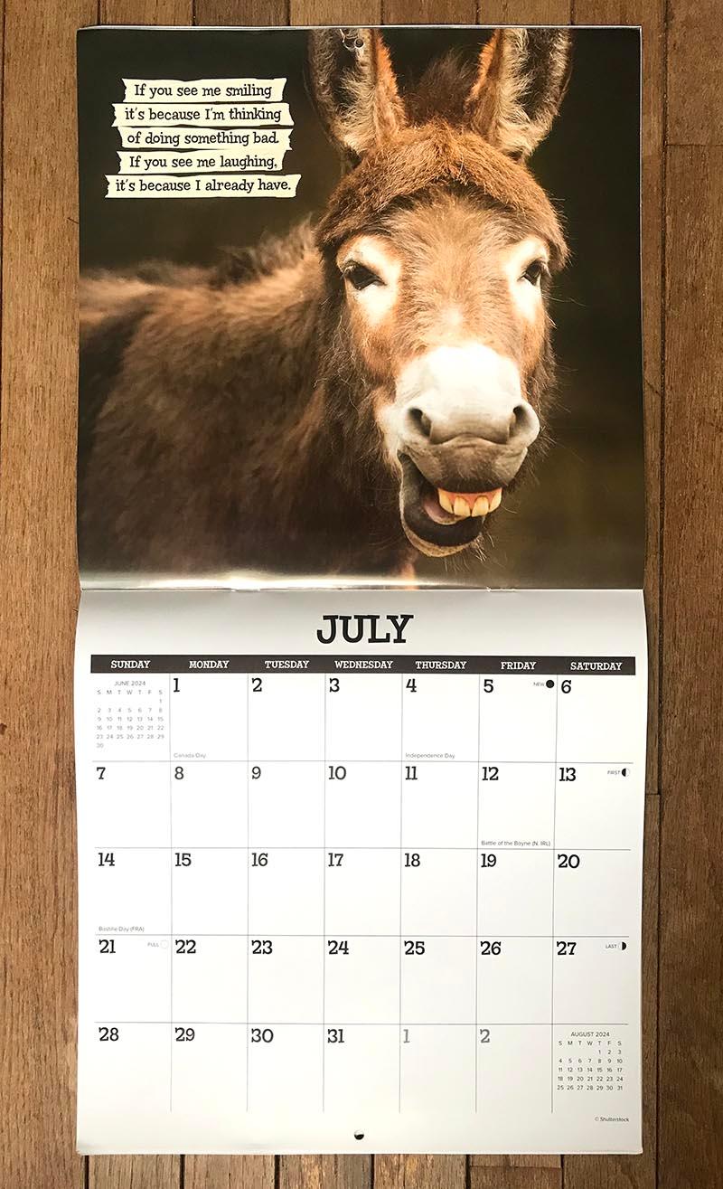 Half Off a lot of stuff