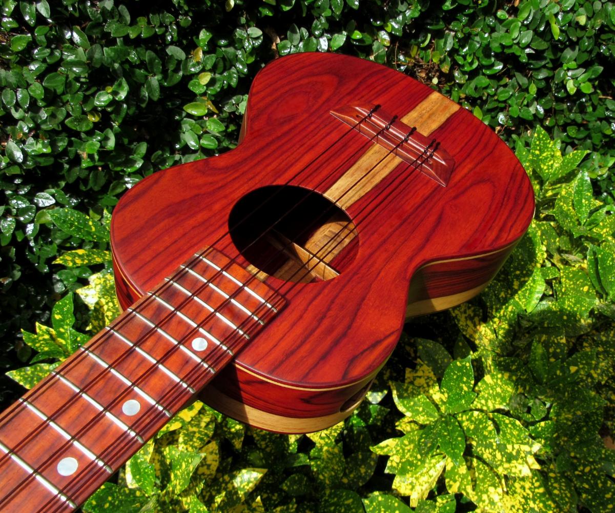 Cocobolo Ukuleles 5-String Long Neck Concert #11---$579