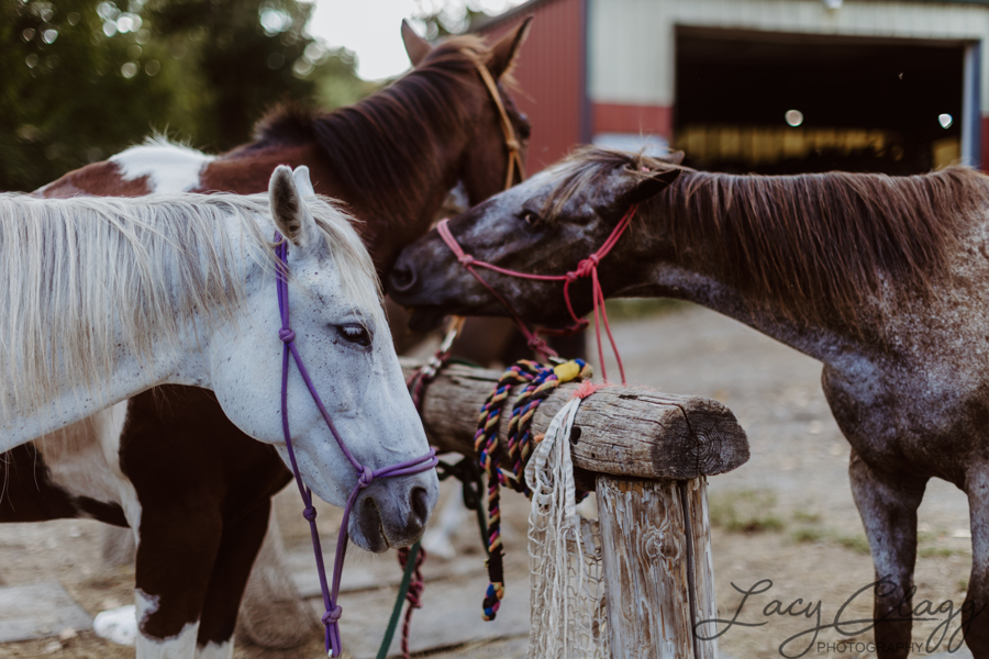Fall Horse Camp at Natural Valley Ranch - WEEK 2 - AFTERNOON