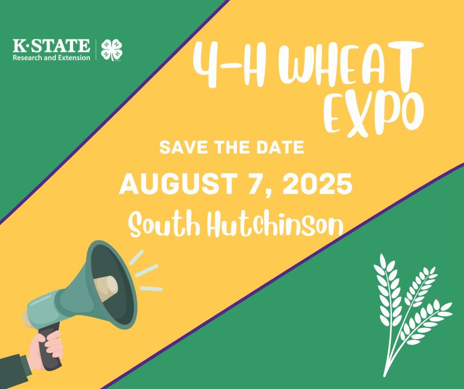 4-H News & Updates for 21 Central District