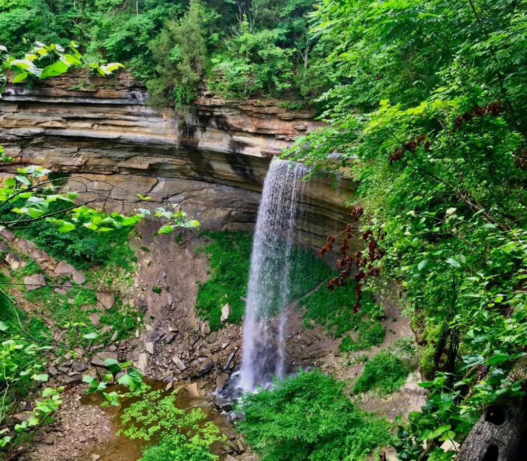 Your Ultimate Madison Summertime Bucket List!