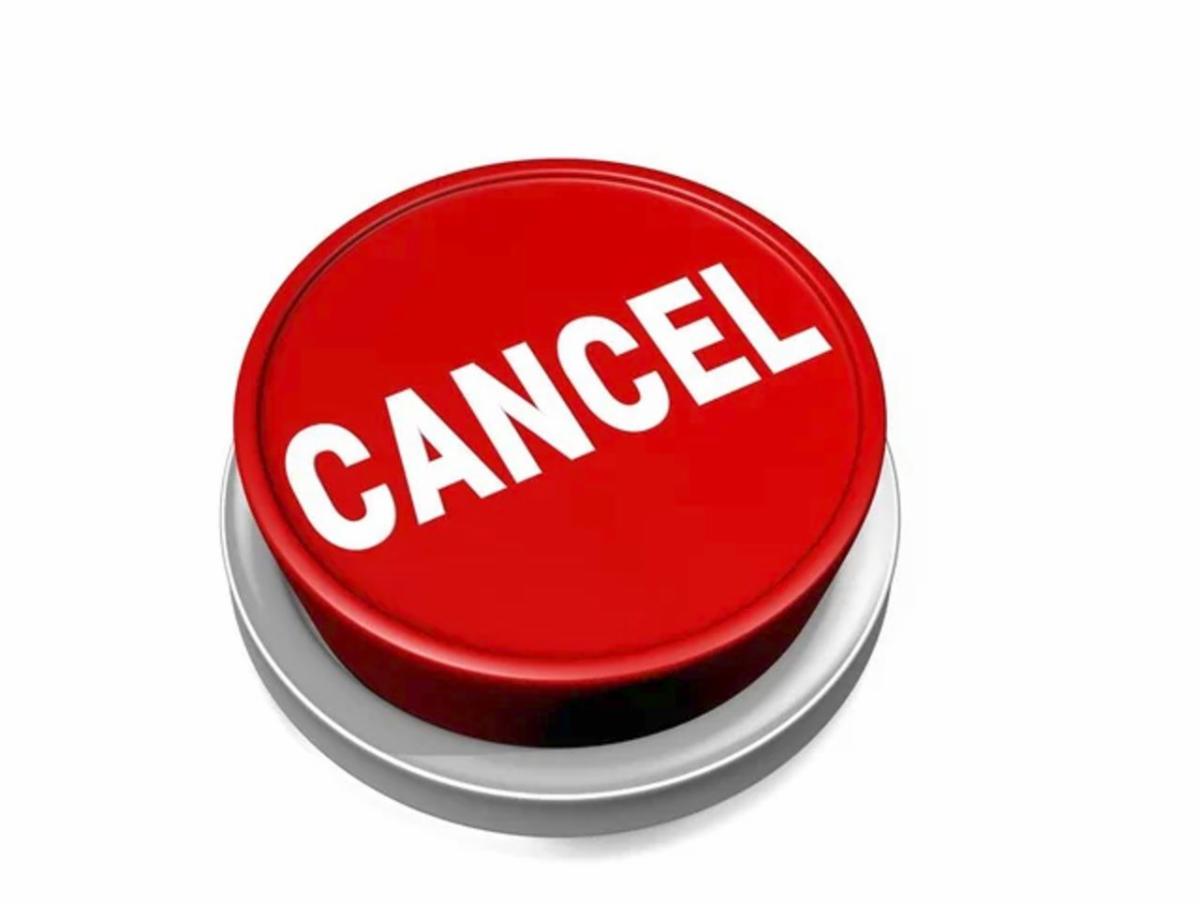 Camp Yipiyuk (Flower Mound) Newsletter Week 2