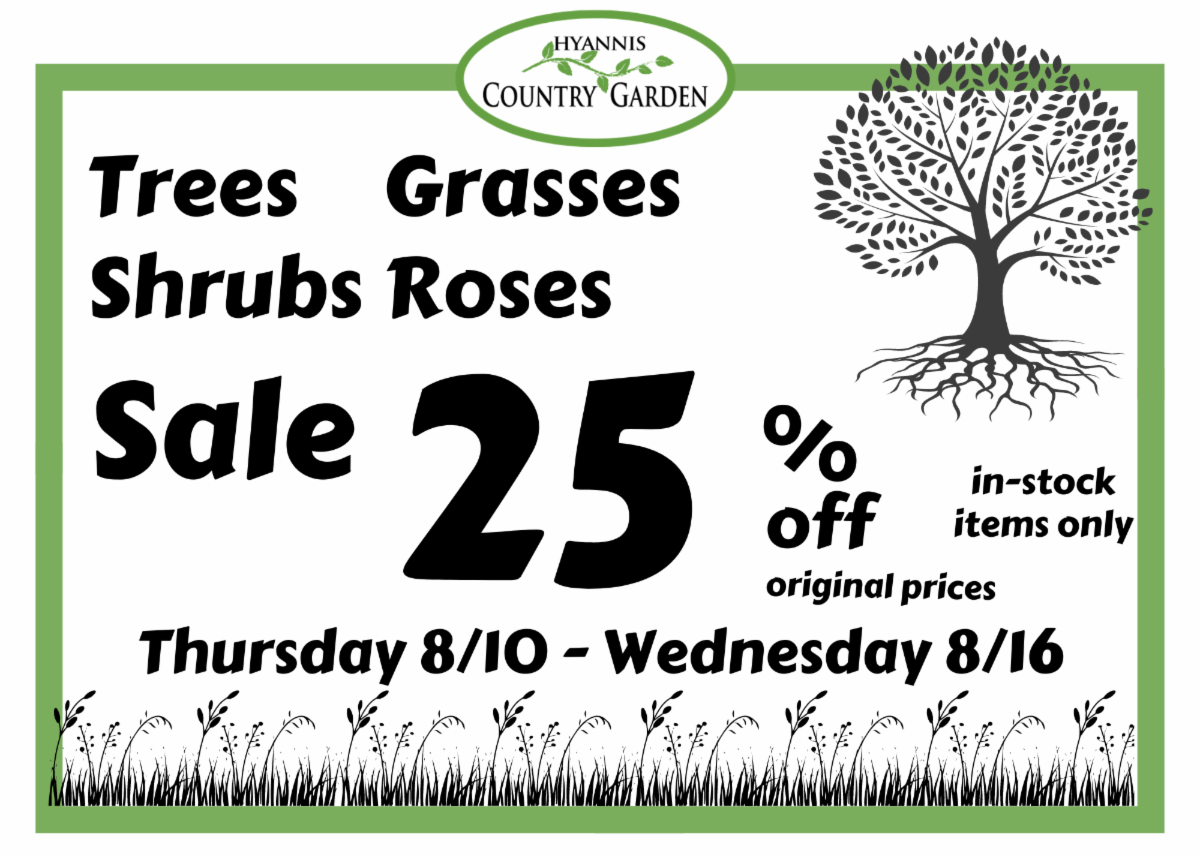 You've Got Questions, We've Got Answers