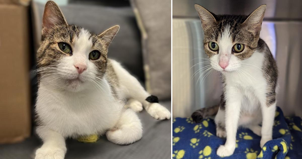 Take a Look at This Week's Newsletter