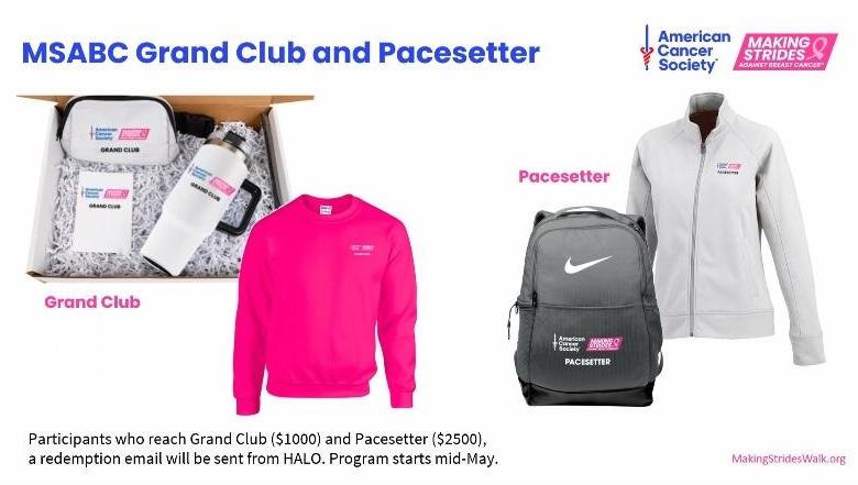 ACS MSABC North Strides Connect Newsletter