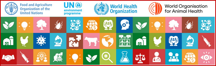 One Health Happenings - June 2025