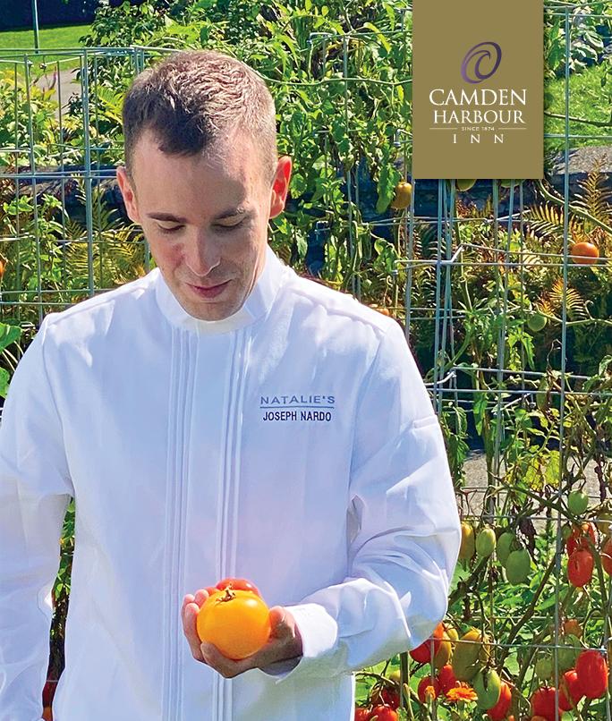 Introducing Our New Executive Chef Joseph Nardo