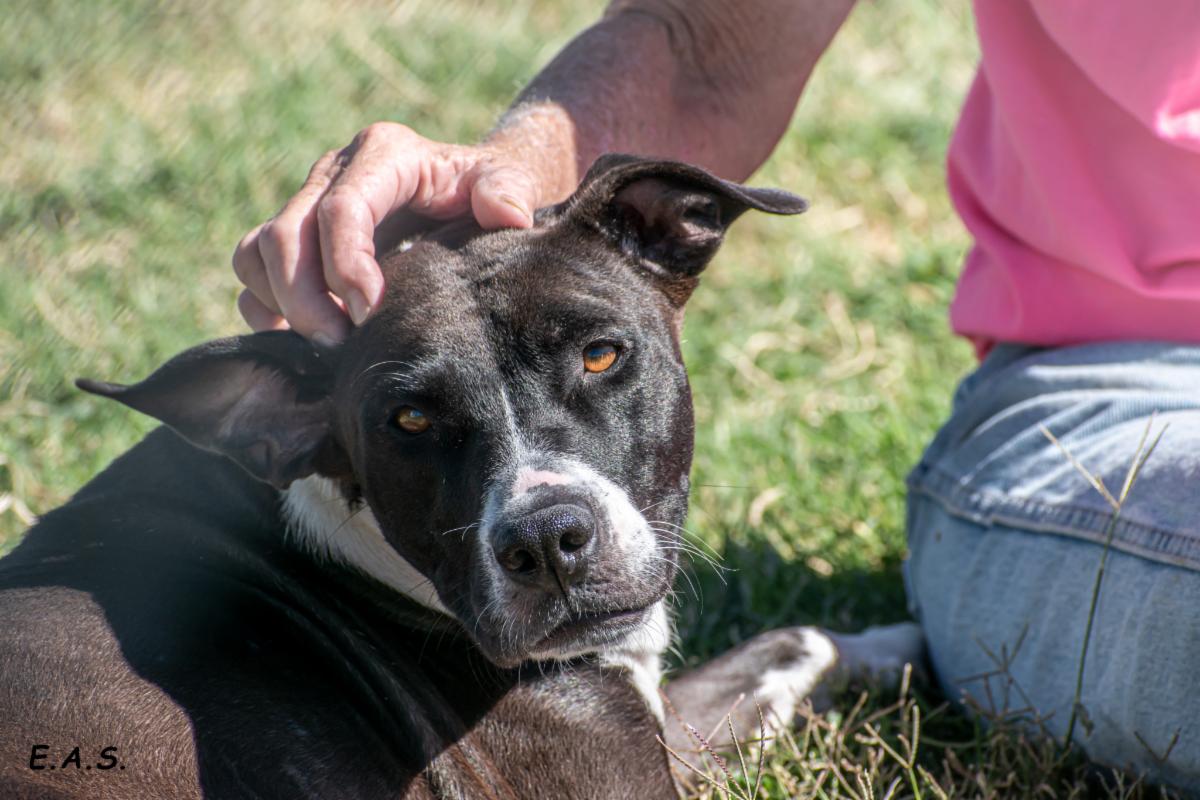 GREETINGS FROM AARF!