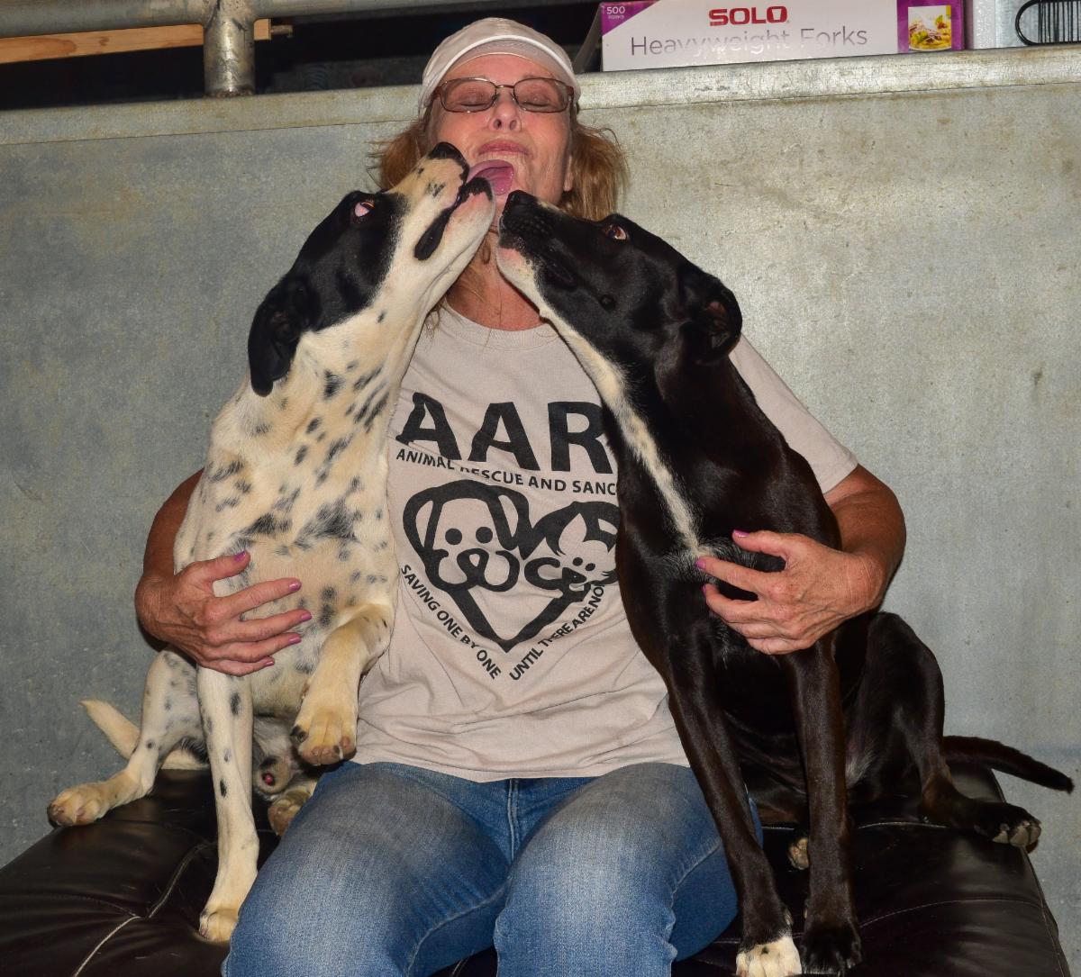 FALL IS HERE & AARF IS BUSY!