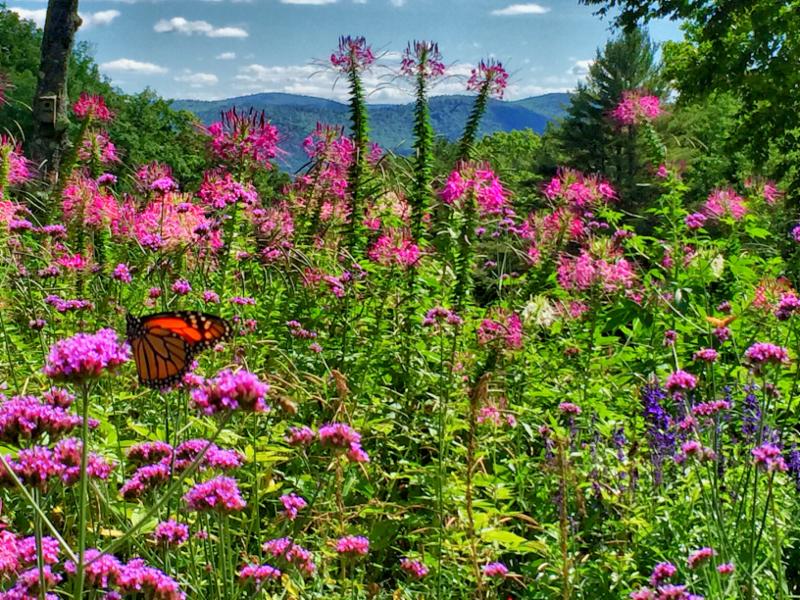 Spring Reopening at Frog Meadow, Vermont's Gay Oasis