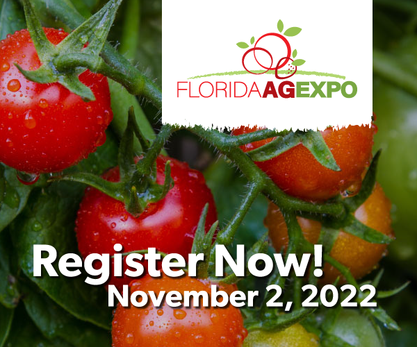 Florida’s Tomato Supply Good Despite Hurricane Ian