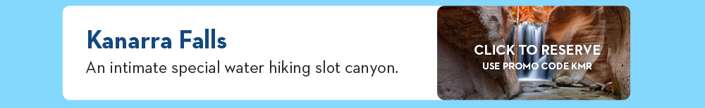 KMR | Summer 2025: Update 3 - Daily Guided Tours