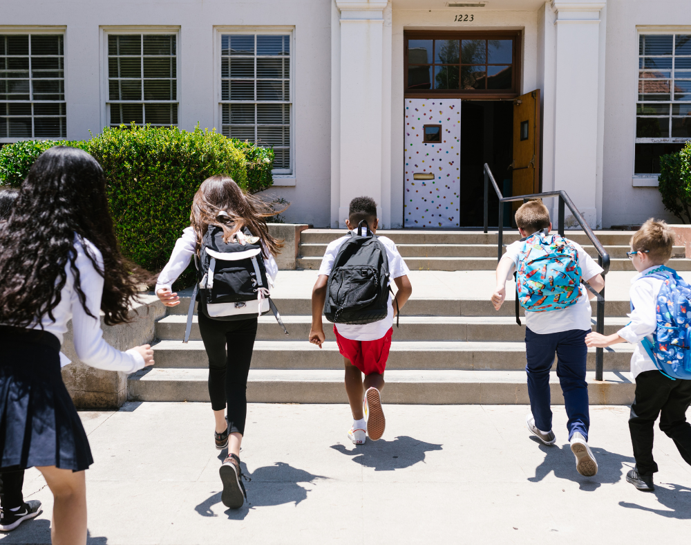 📚 Back to School: Beyond the Backpack