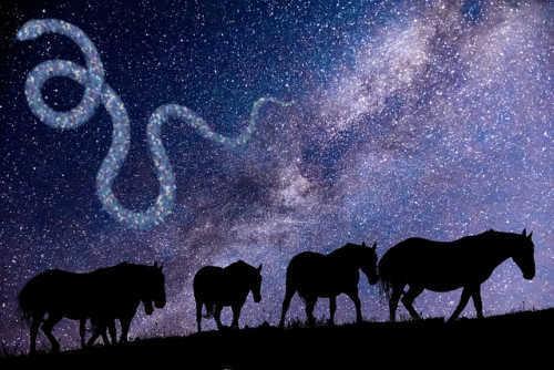 Sacred Solstice Alchemy