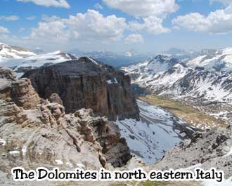 Cellebrating November: Tips & Discounts for Garden Lovers!