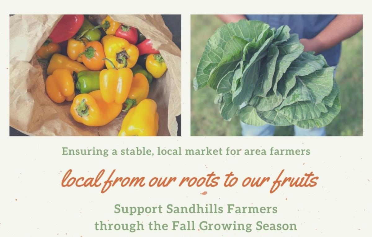 Produce Update: What's Growing - Fall Harvest