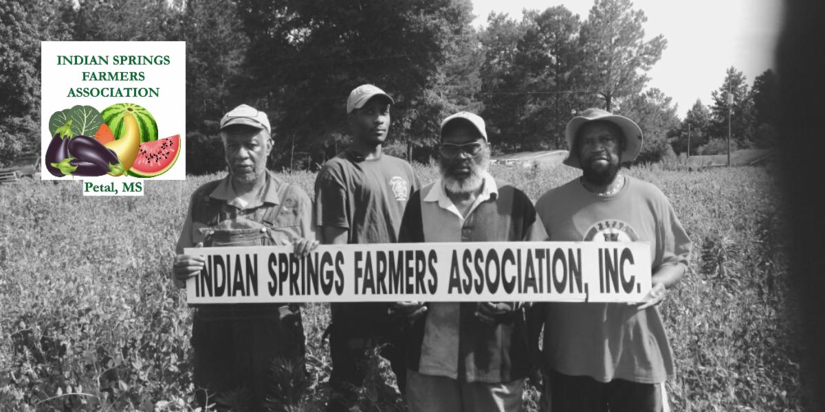 Around the Federation: October 2022