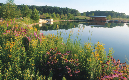 Important program information and upcoming events in Shields Township