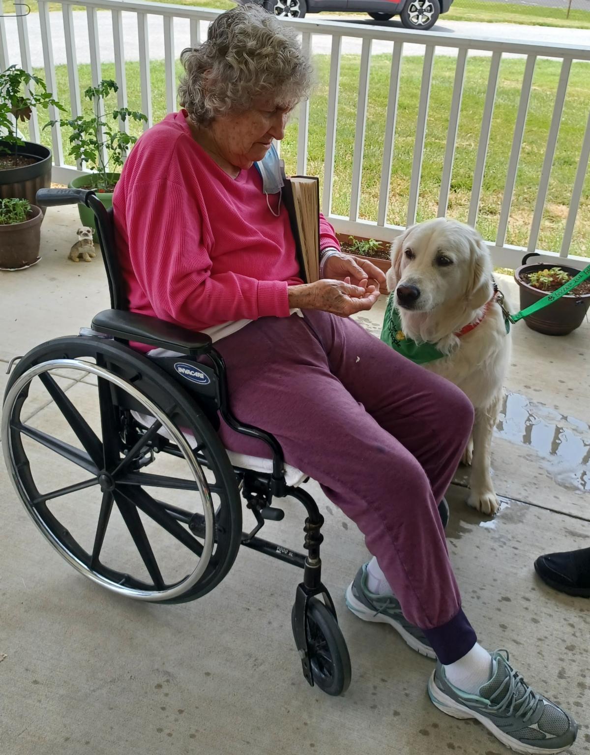 News from PAWS for People