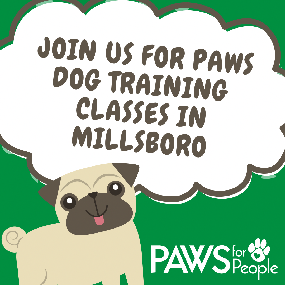 News from PAWS for People