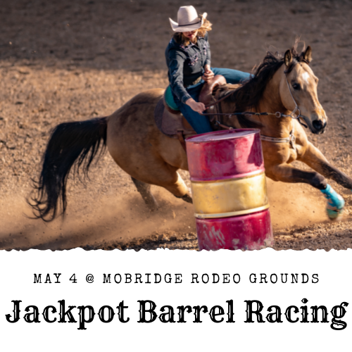 Newsletter | May 2 - 8, 2022