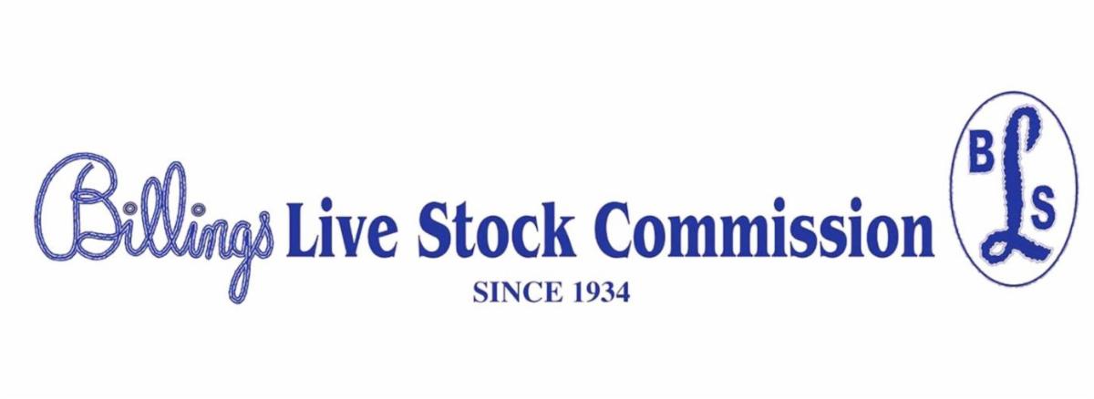 BLS's Annual Northland Stock Cow & Bred Heifer Special