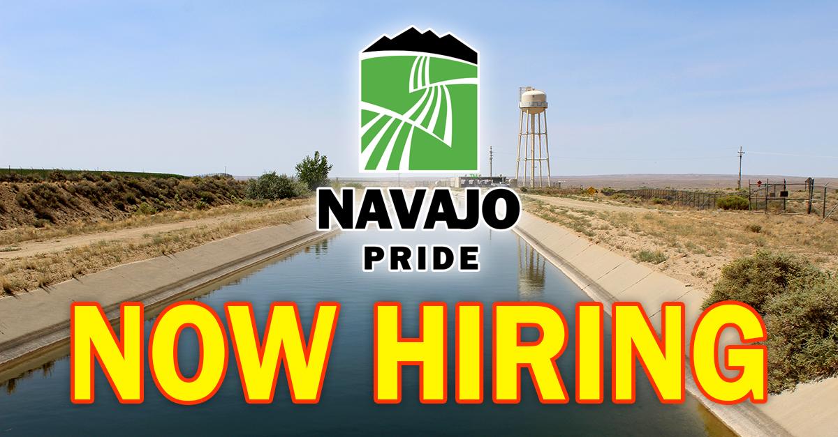 NAPI Employment Opportunities