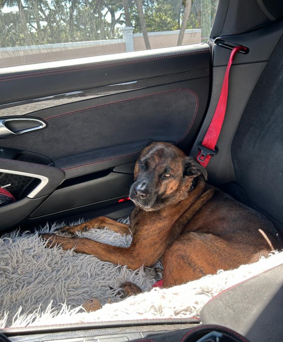 Bulldog Weekly - Student Edition