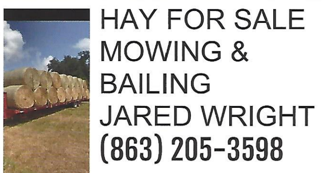 Polk GOP - Message from new Chairman - Jim Guth