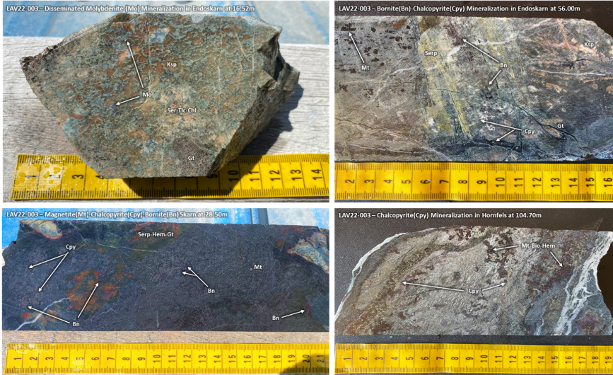 Core Assets drilling extends Fe-Cu skarn and Cu porphyry mineralization ...