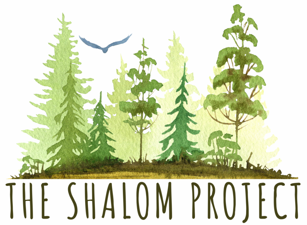 The Bridge from St. Mark's Lutheran Church by The Narrows