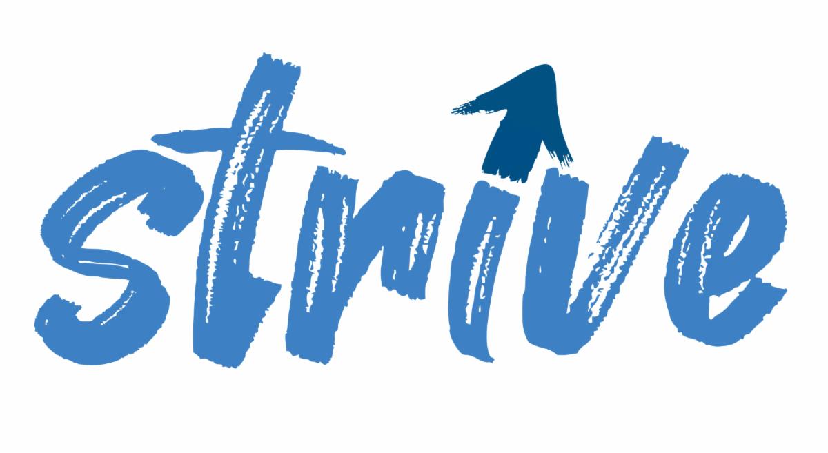 Introducing STRIVE - Our Company Values