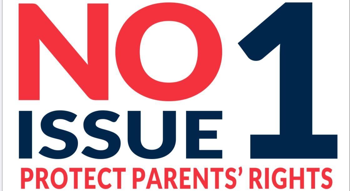 Vote NO on Issue 1 Yard Signs
