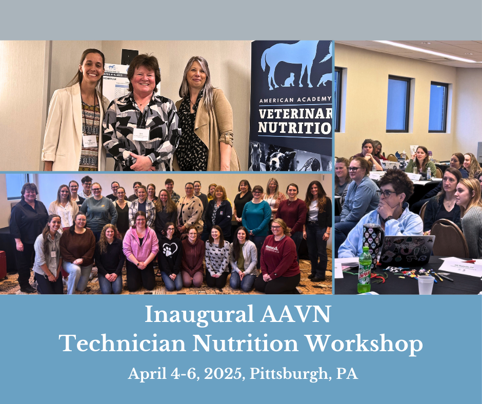 AAVN April 2025 E-Newsletter