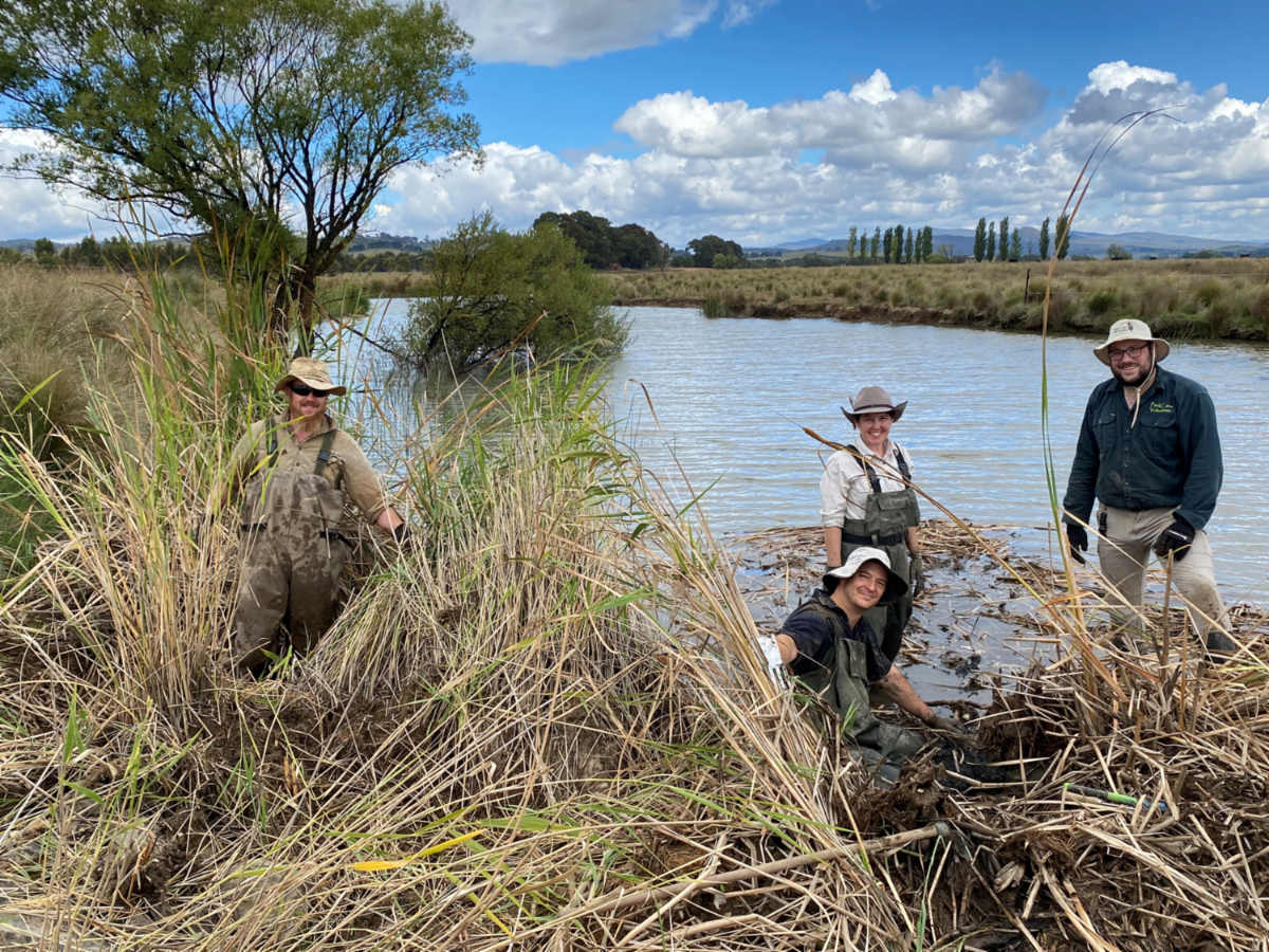 Resilience – Winter 2025 ️