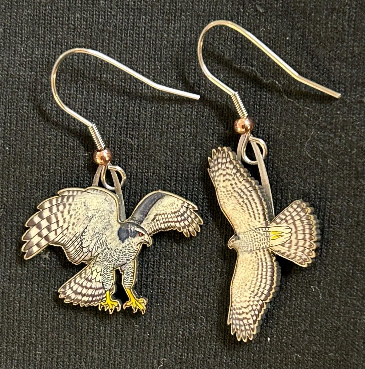 Denver Botanic Gardens Raptor Day 2023